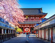 TUJ History | Temple University, Japan Campus